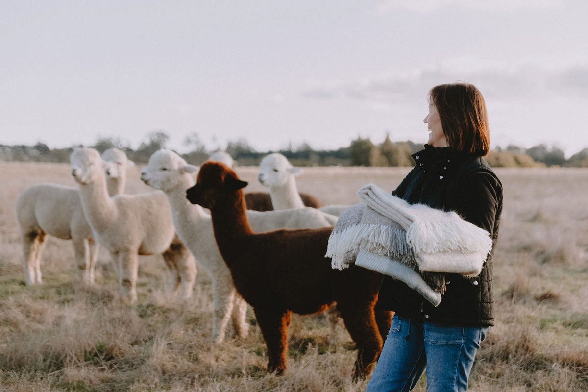 What Makes Alpaca Different? | Natural Fibres Explained – Alpaca Passion